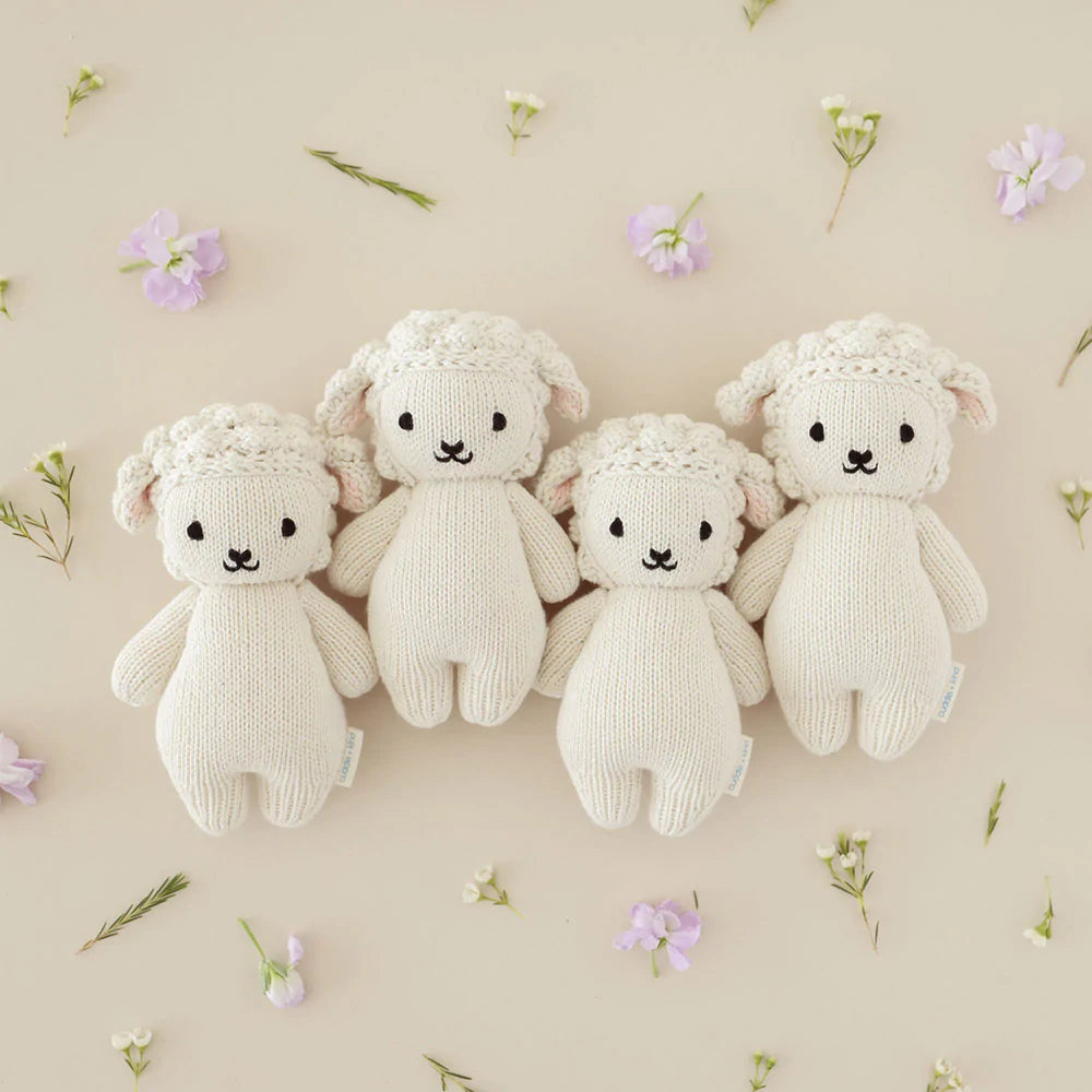 Baby Lamb – Babe Bump & Beyond
