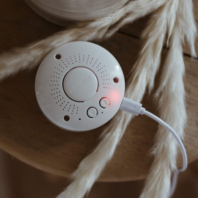 Moonie – Babe Bump & Beyond